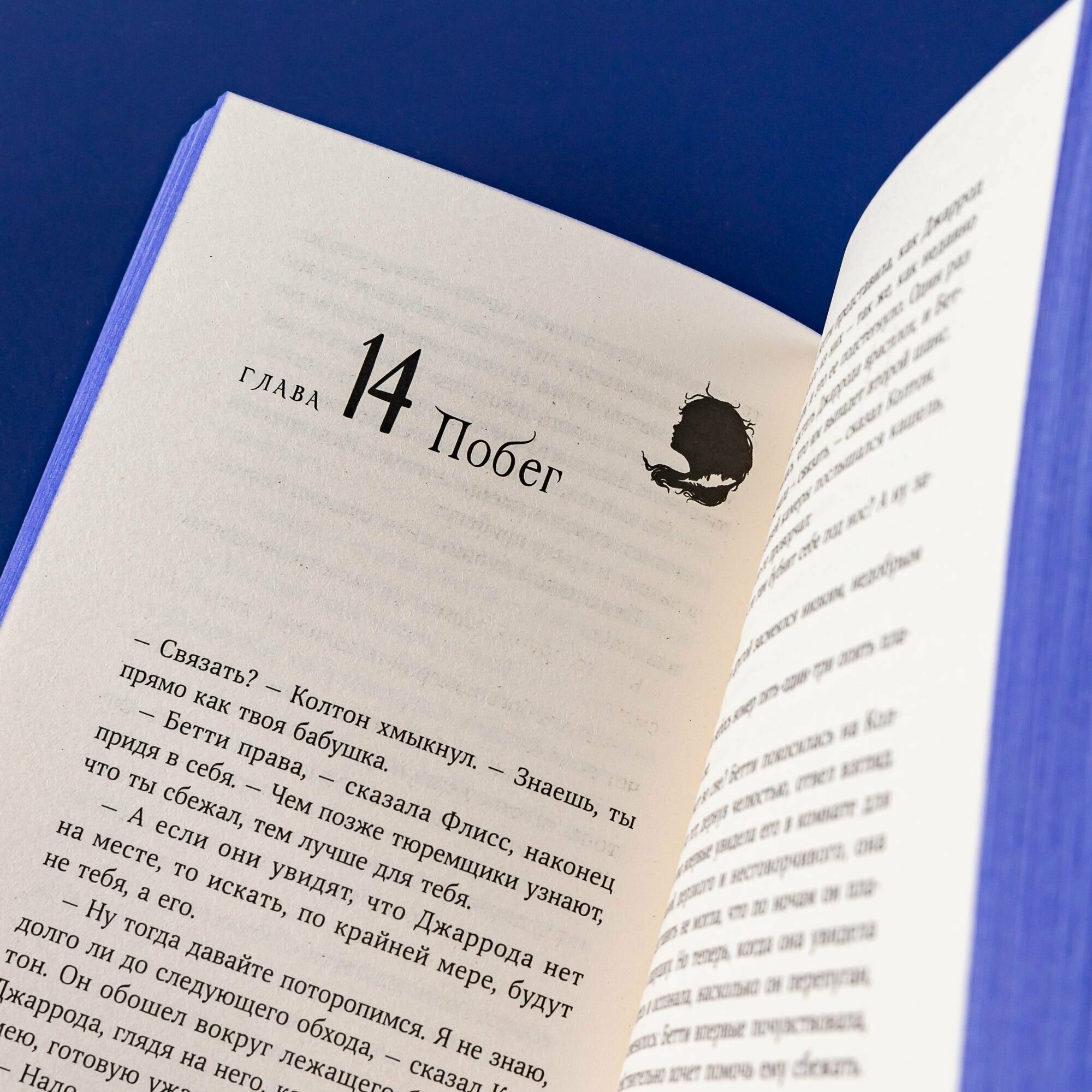 Книга Альпина Дети "Щепотка магии", янг-эдалт, мягкий переплет — фото 1