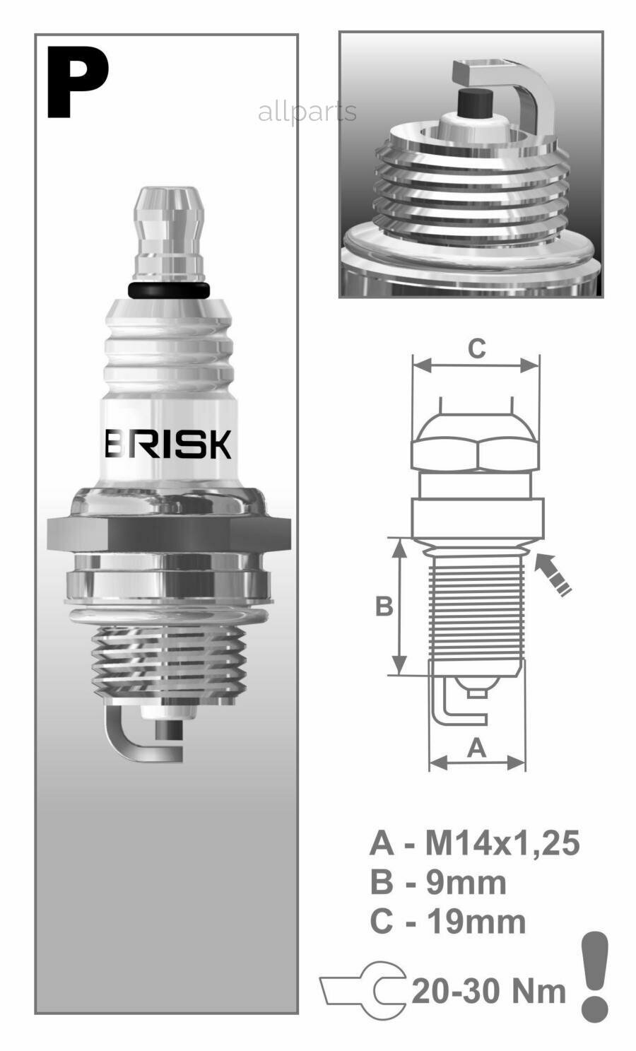 BRISK PR18Y Свеча BRISK GARDEN PR18Y