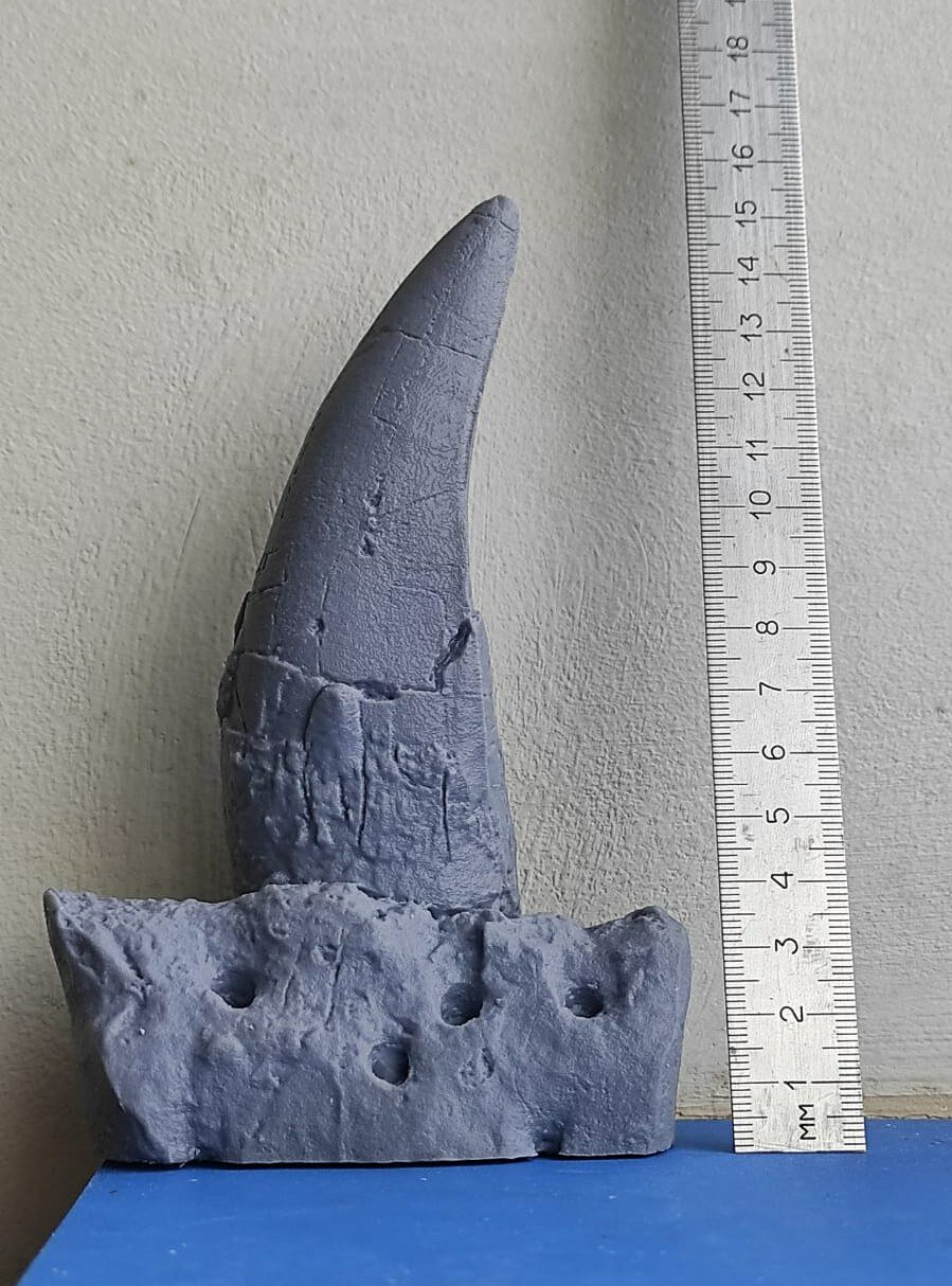 DINO10001 Зуб тиранозавра