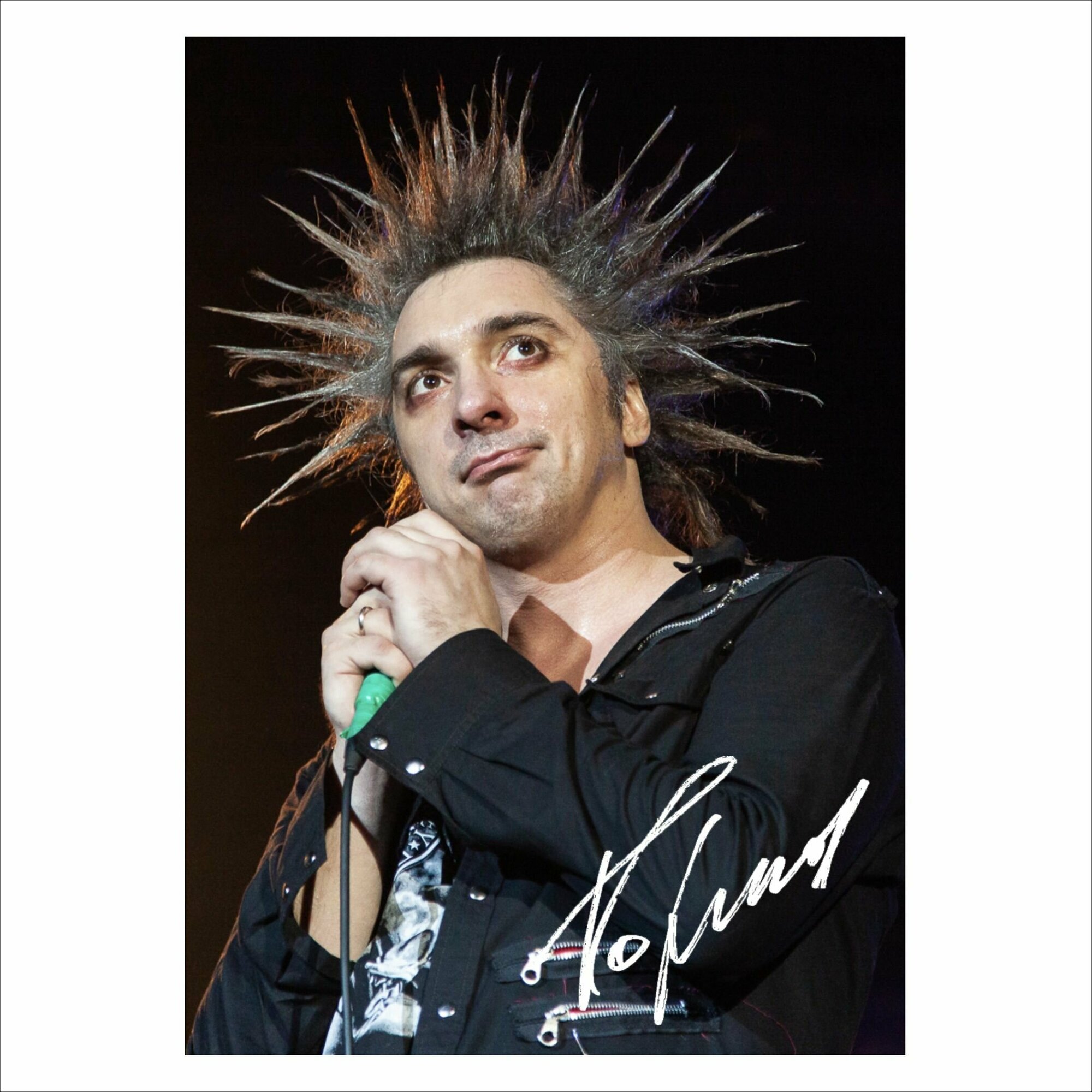 Михаил Горшенёв автограф на металлической фотографии 280х200мм