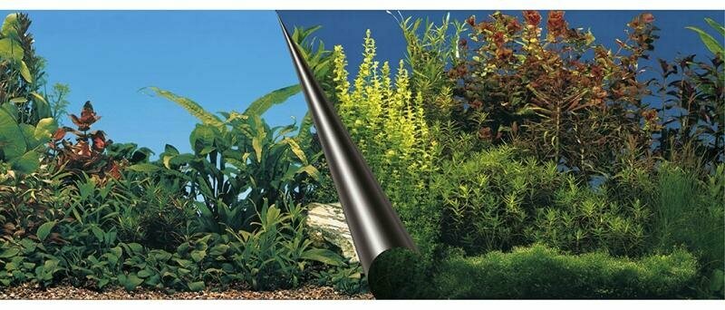 Фон-пленка EBI Beauty & Sea, 120×50 см