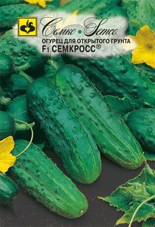 Цена за 10 пачек! Семена Огурец Семкросс F1 корнишон 1г Пч Ранние (Семко)