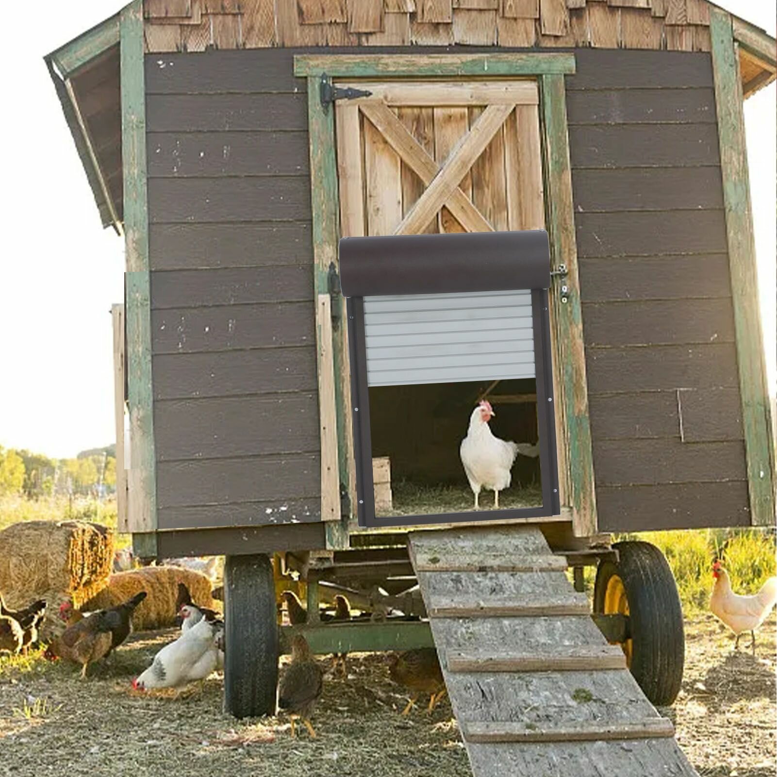 Автоматическая дверь для курятника
