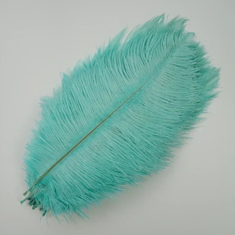 Страусиные перья Xywae, белые, черные, большие 15-20cm 6-8inch, Mint Green