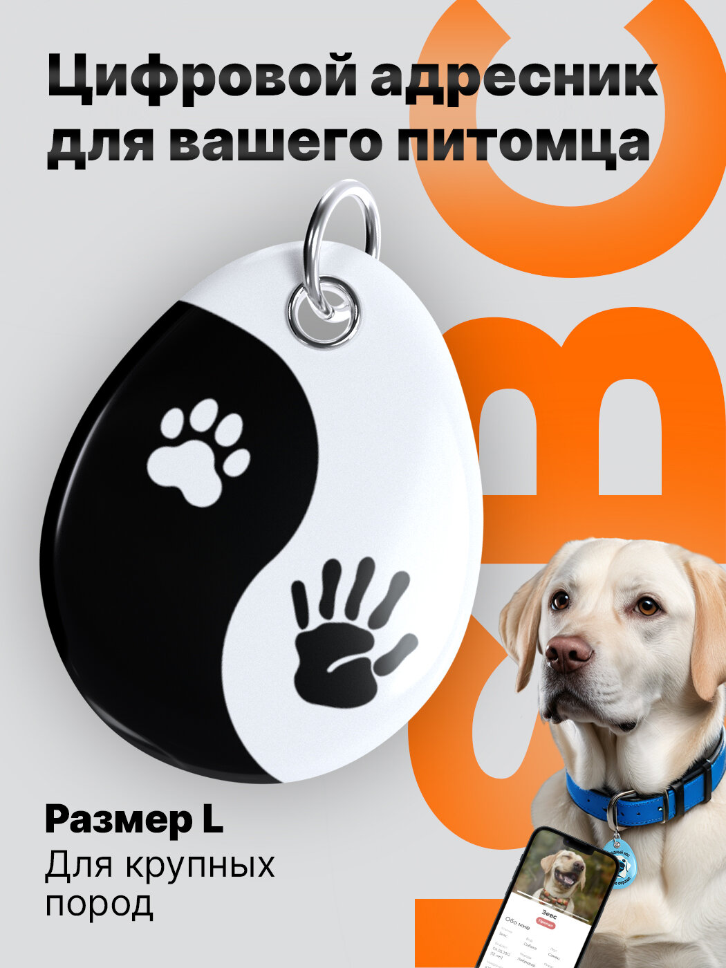 Адресник для собак средних и крупных пород от ISBC с NFC и QR-кодом, Гармония