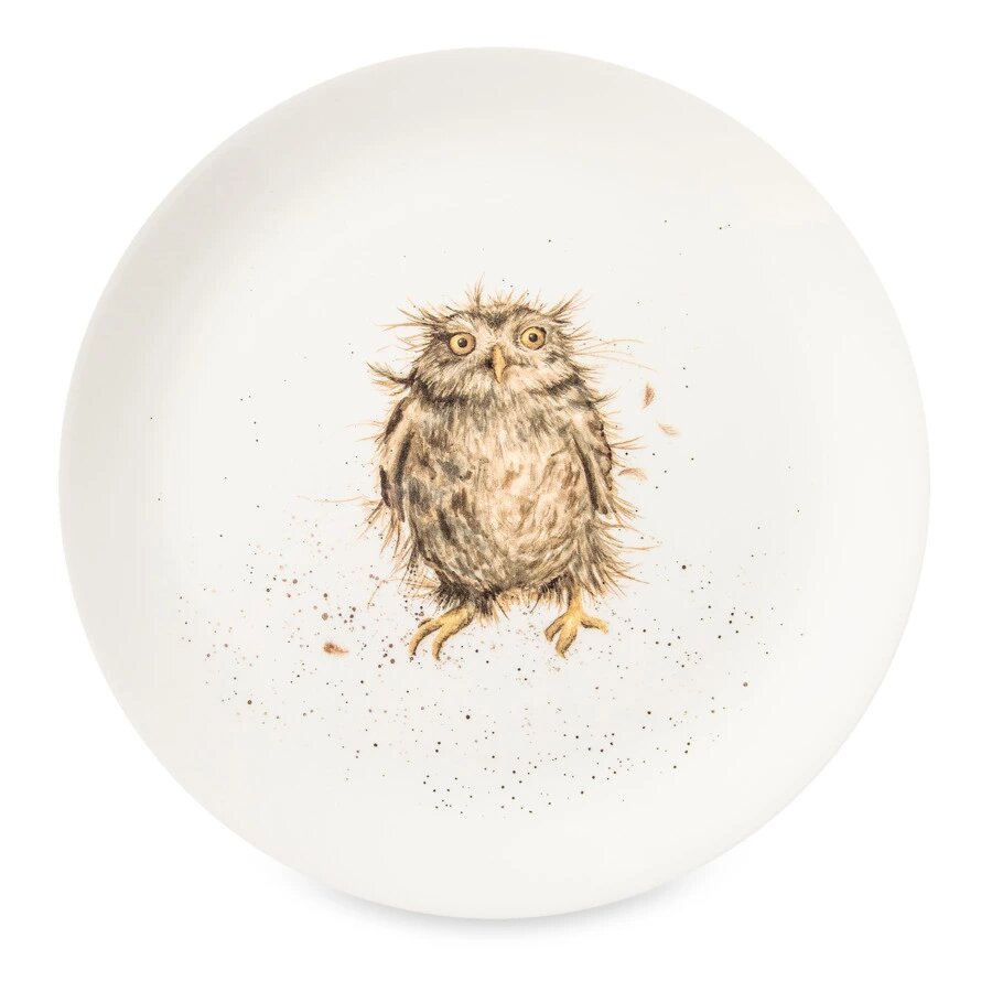 Тарелка закусочная Royal Worcester Забавная фауна Сова 20 см, фарфор костяной