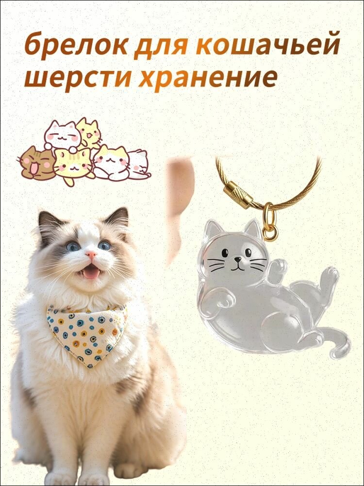 Прозрачная капсула для хранения кошачьей шерсти, пластиковый контейнер-брелок, коллекционный аксессуар для любителей кошек