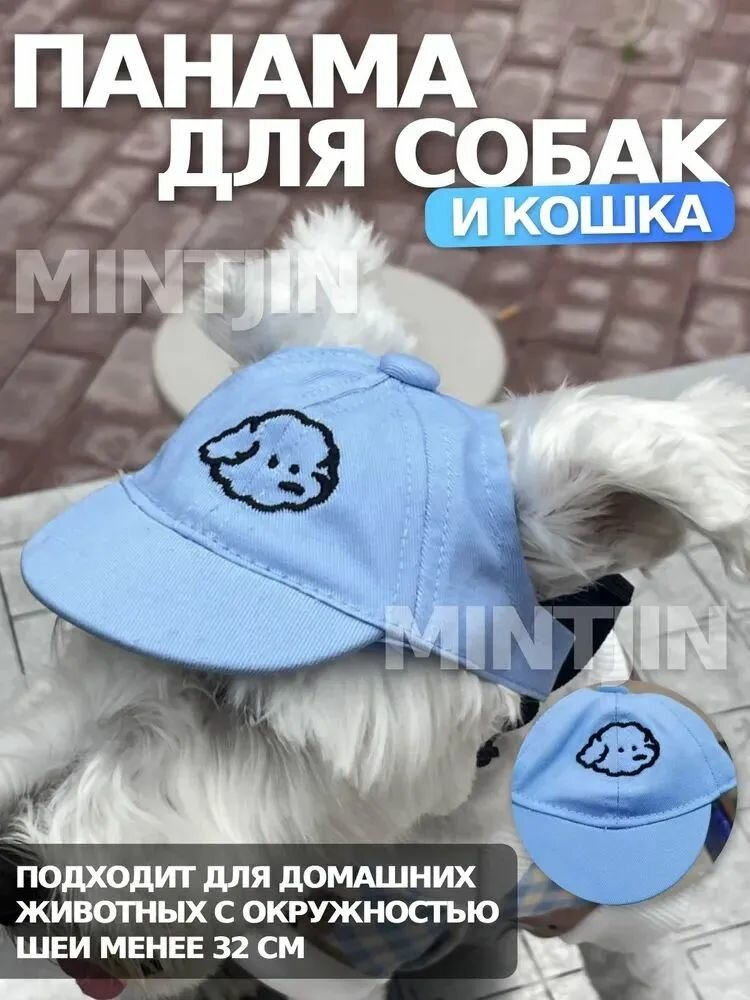 Стильная кепка для маленьких собак, хлопок, синий цвет, модный аксессуар для прогулок