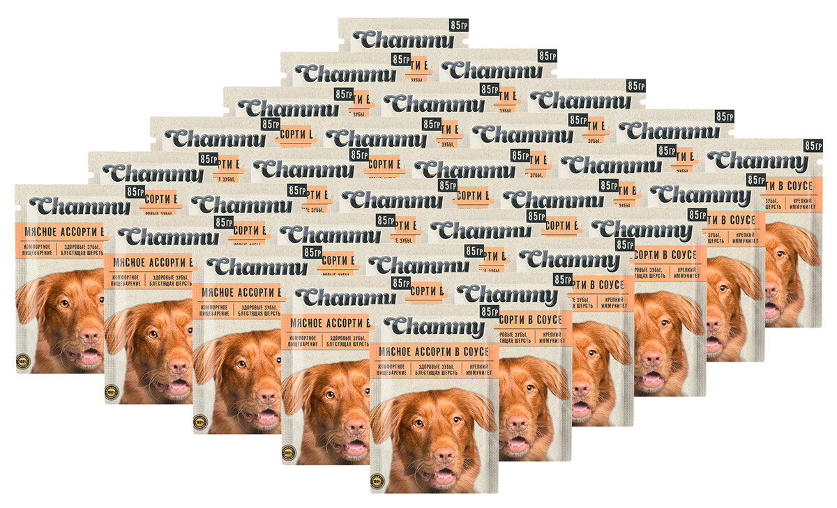 Корм влажный Chammy для взрослых собак, мясное ассорти в соусе, 85 гр х 30 шт