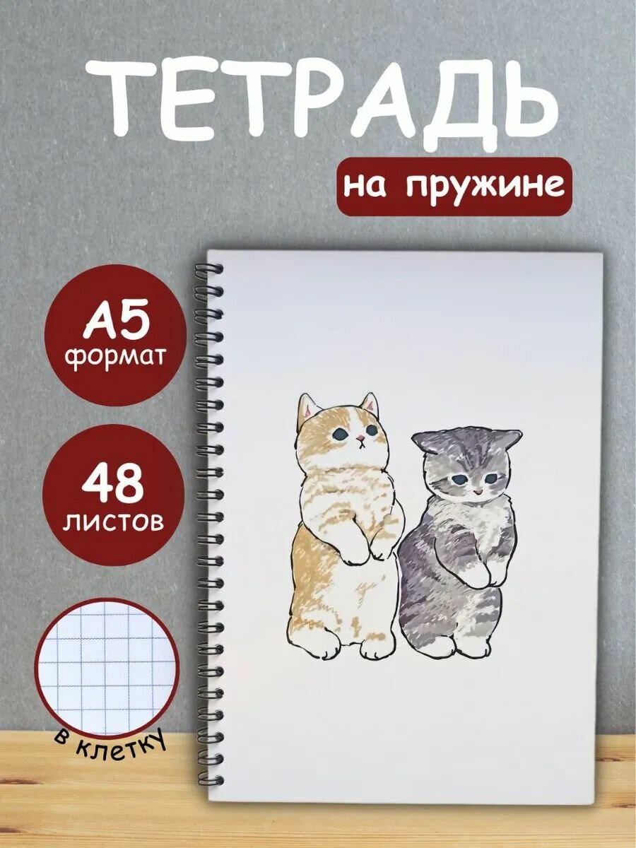 Тетрадь в клетку 48 листов на пружине , блокнот А5 Милые котики