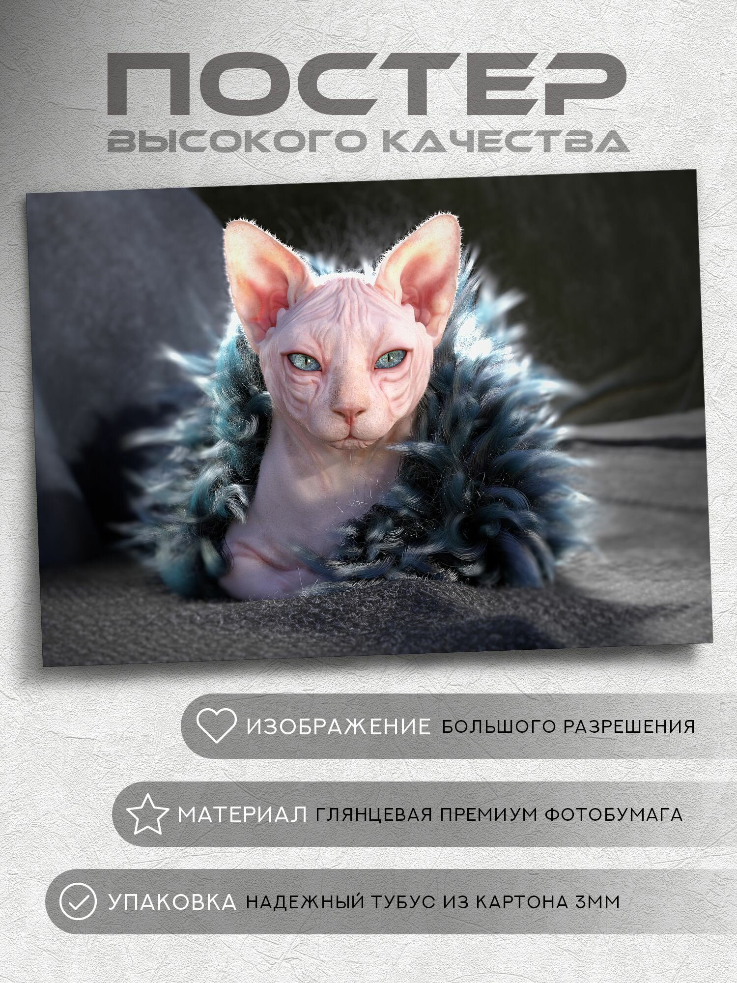 Постер: кот сфинкс под одеялом