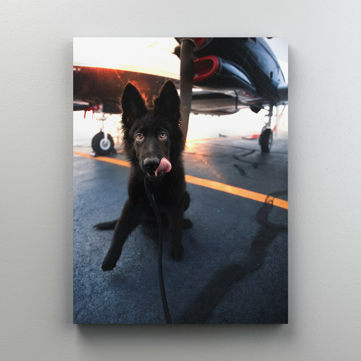 Интерьерная картина на холсте "Бордер-колли" животные размер 22x30 см