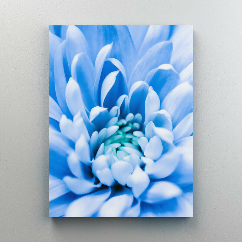Интерьерная картина на холсте "Голубая хризантема - макросъемка" размер 22x30 см