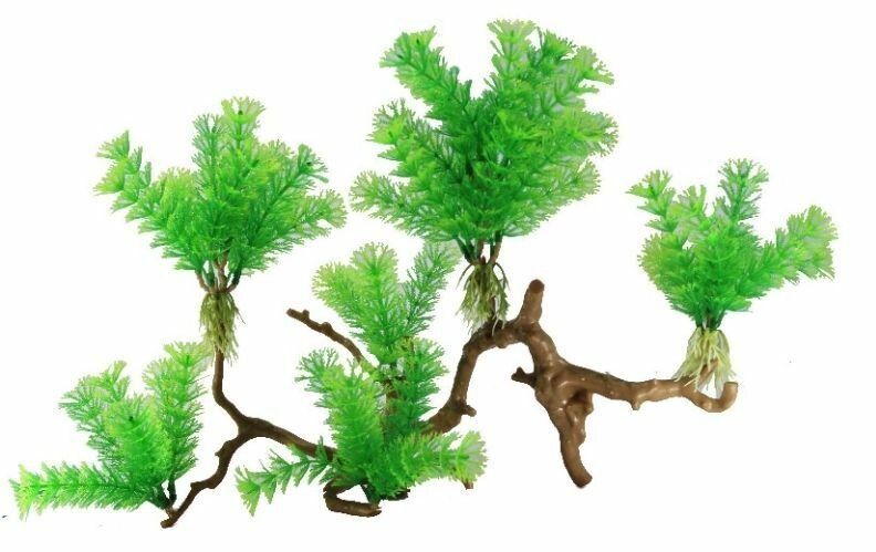 Fauna International Декорация для аквариума Растение на коряге №38, 35 см х 10 см х 20 см