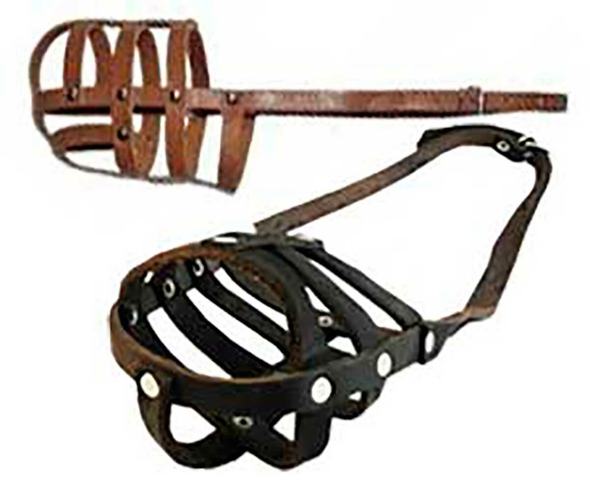 Намордник для собак породы колли brava арт308