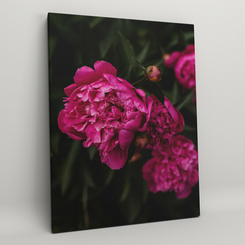 Картина на холсте (интерьерный постер) "Фиолетовый пион в саду", с деревянным подрамником, размер 22x30 см