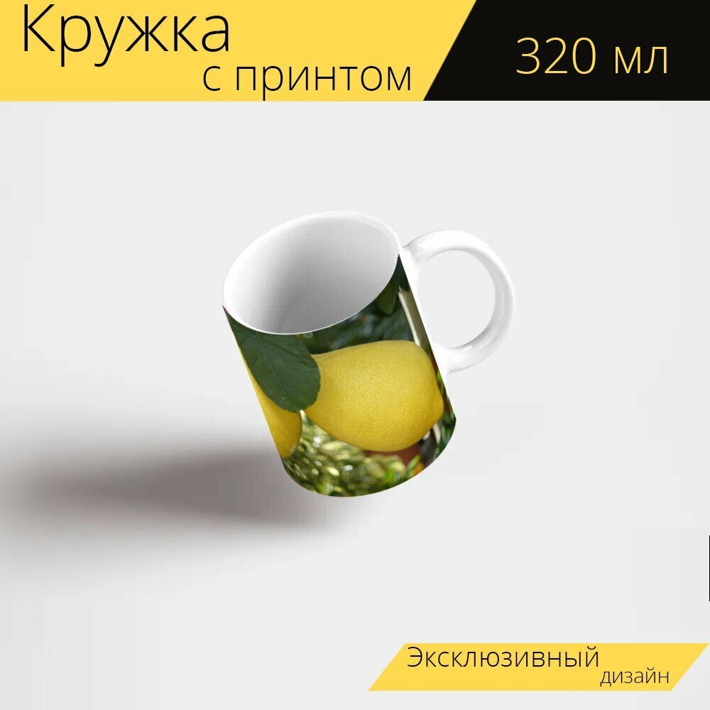 Кружка с рисунком, принтом "Лимоны, дерево, еда" 320 мл.