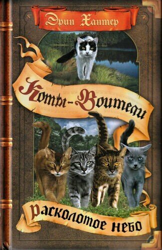 Видение теней. Расколотое небо (Хантер Эрин)