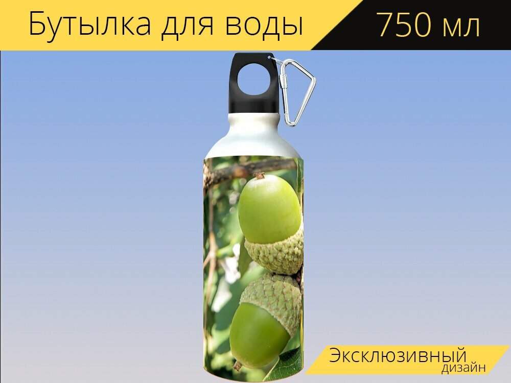 Бутылка фляга для воды "Желуди, дубовые листья, дуб" 750 мл. с карабином и принтом