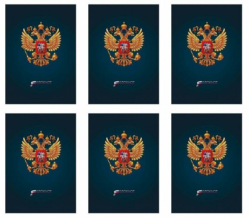 InФормат Блокнот А5, клетка на гребне мелованный картон, 60 листов, 6 уп