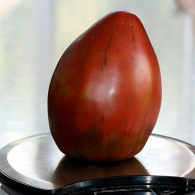 Коллекционные семена томата Бычье сердце чёрное