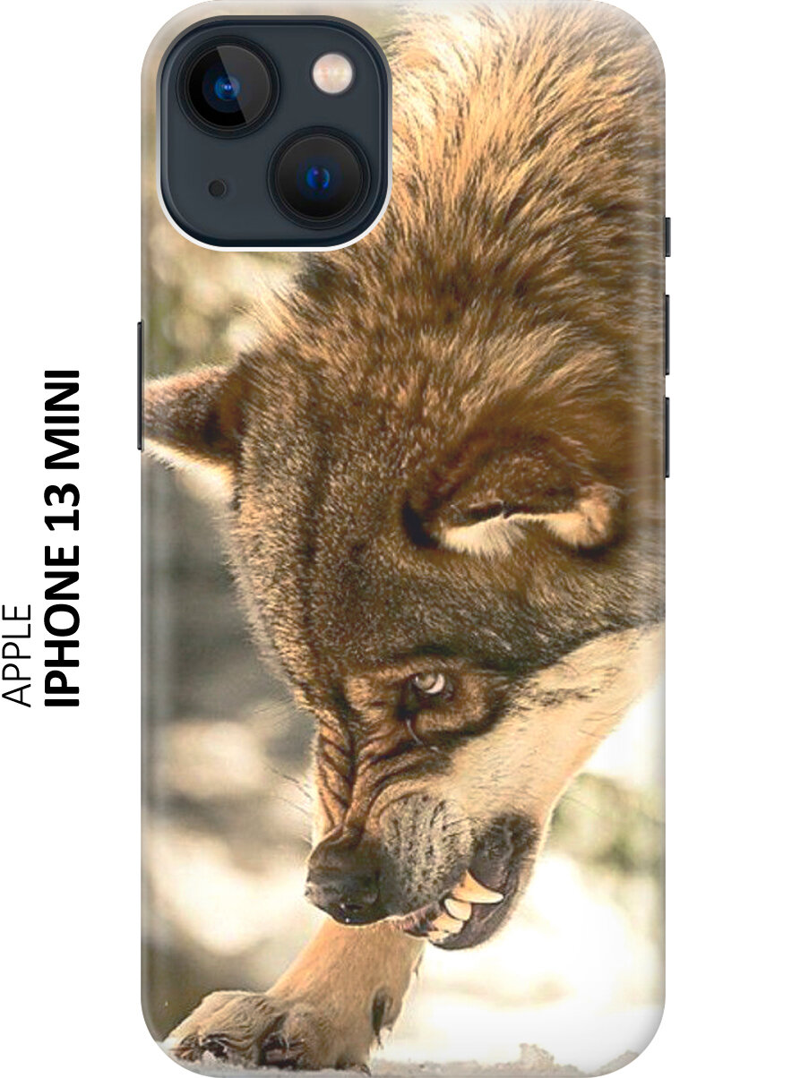 Силиконовый чехол на Apple iPhone 13 Mini / Эпл Айфон 13 мини с рисунком "Лютый волк"