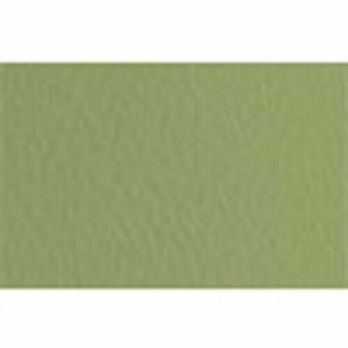 Бумага для пастели (10 лист.) Fabriano "Tiziano" 160 г/м2, 50х65 см, 52551014 Muschio/Оливковый