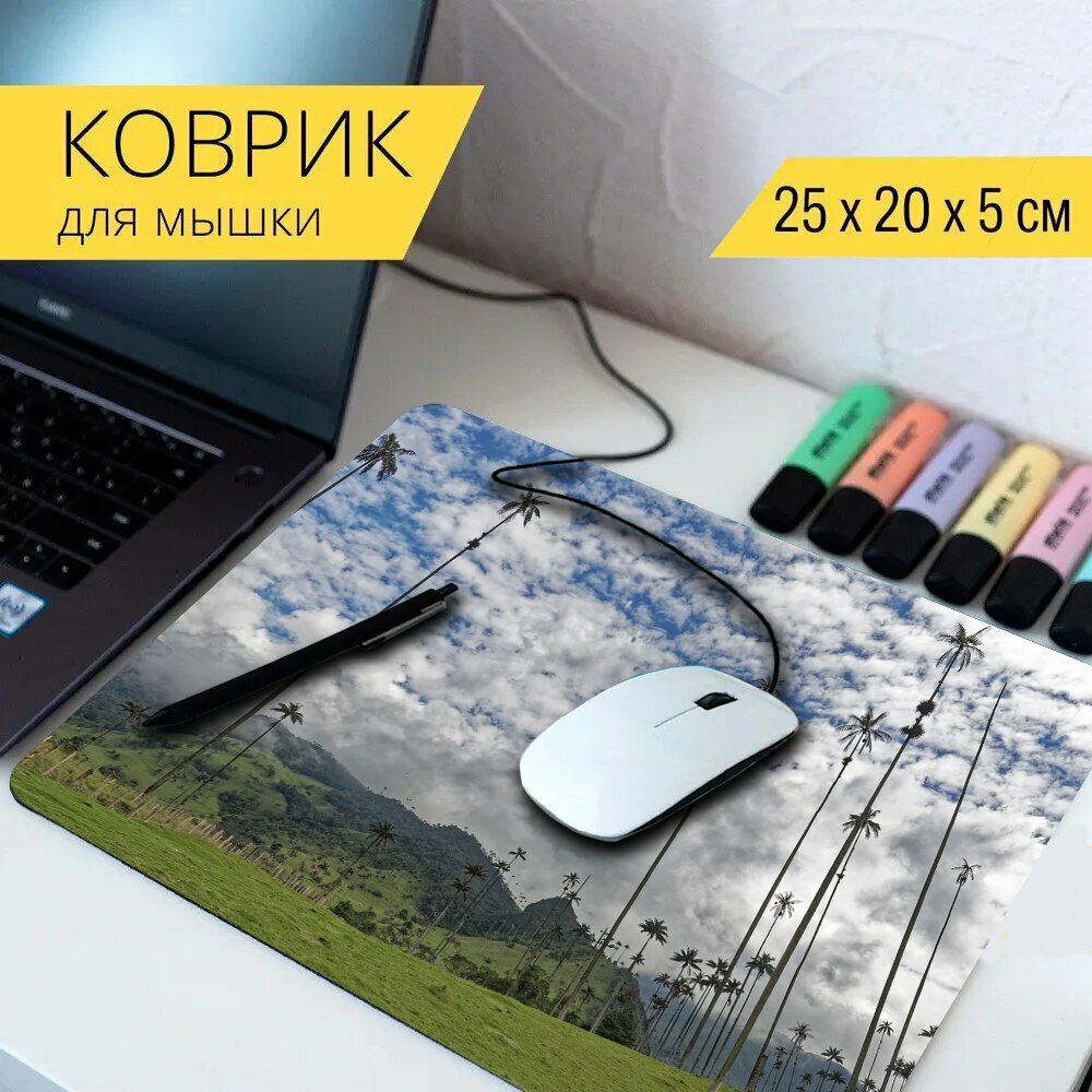 Коврик для мыши с принтом "Колумбия, el bosque de palmas, пальмы" 25x20см.