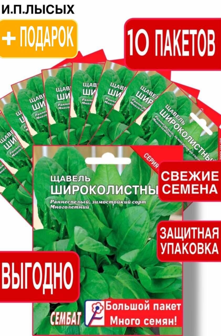 Семена Щавель Широколистный 10шт