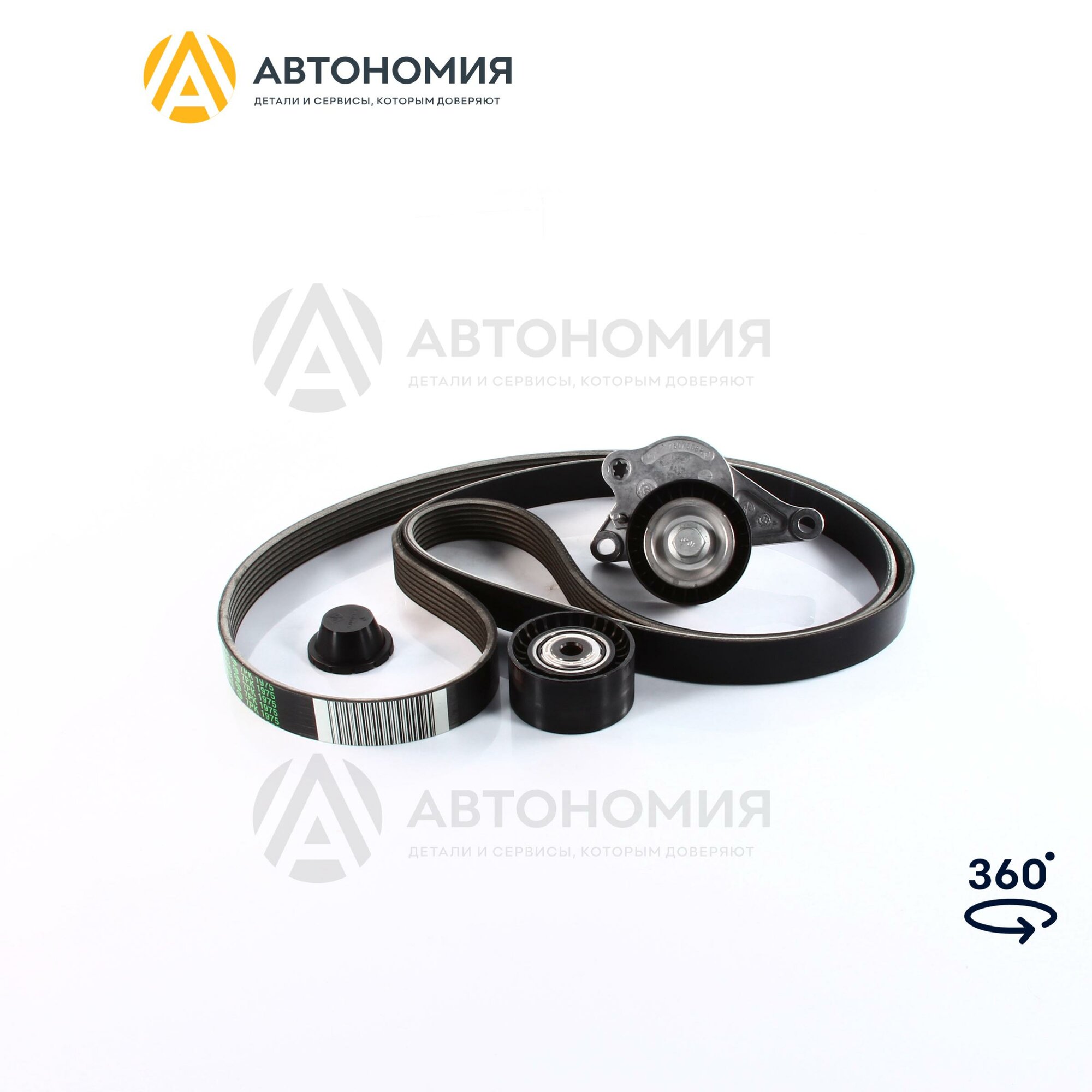 Ремень приводной с роликами Renault 77 01 476 645