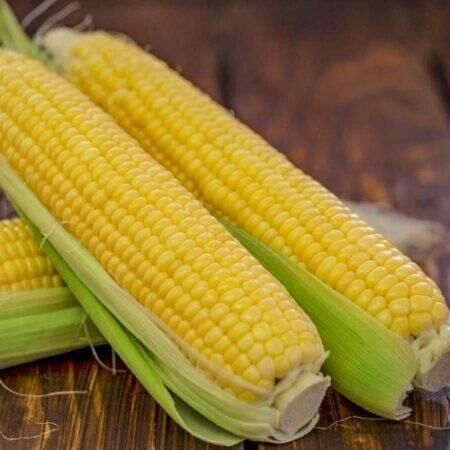 Семена Кукурузы "Медовая Сказка", 10 шт. семян