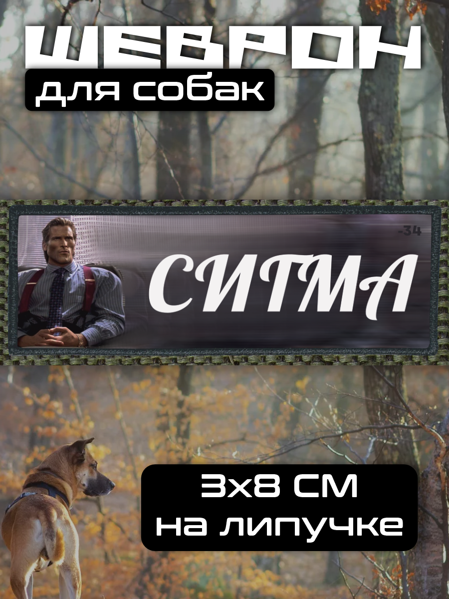 Шеврон на липучке для собак Сигма
