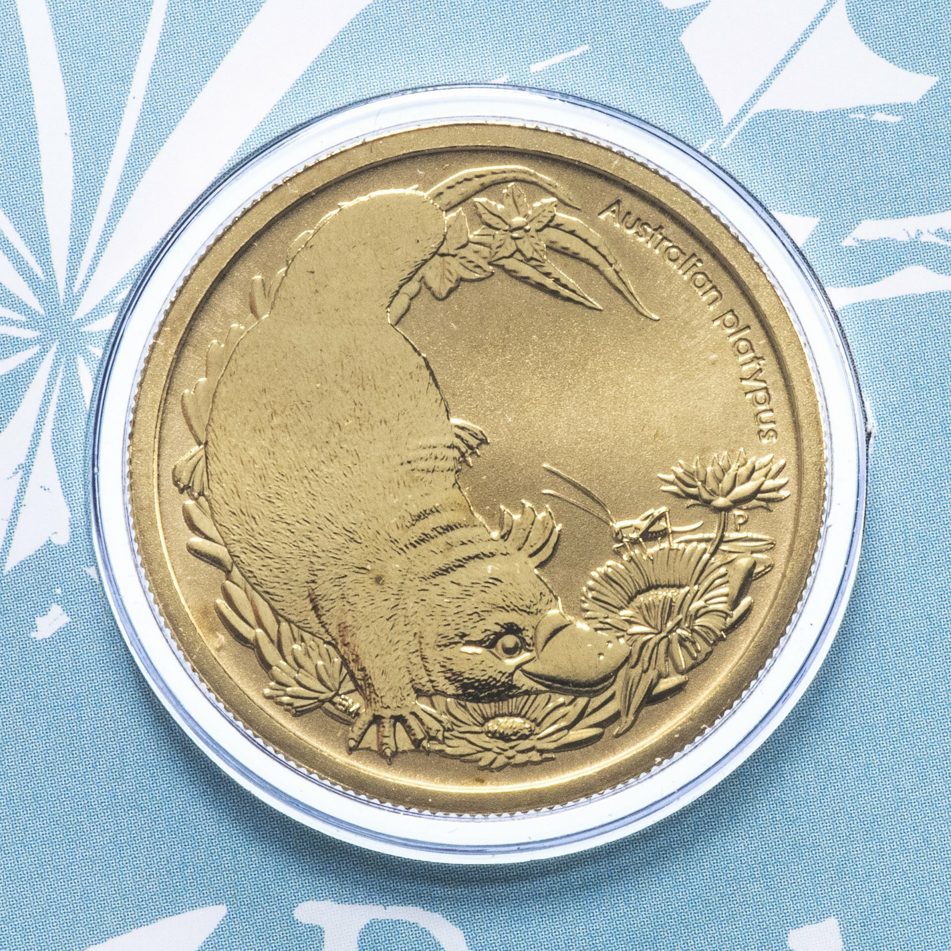 Австралия 1 доллар dollar 2013 "Детёныши диких животныхУтконос" с маркой, Бронза, в сохранности UNC