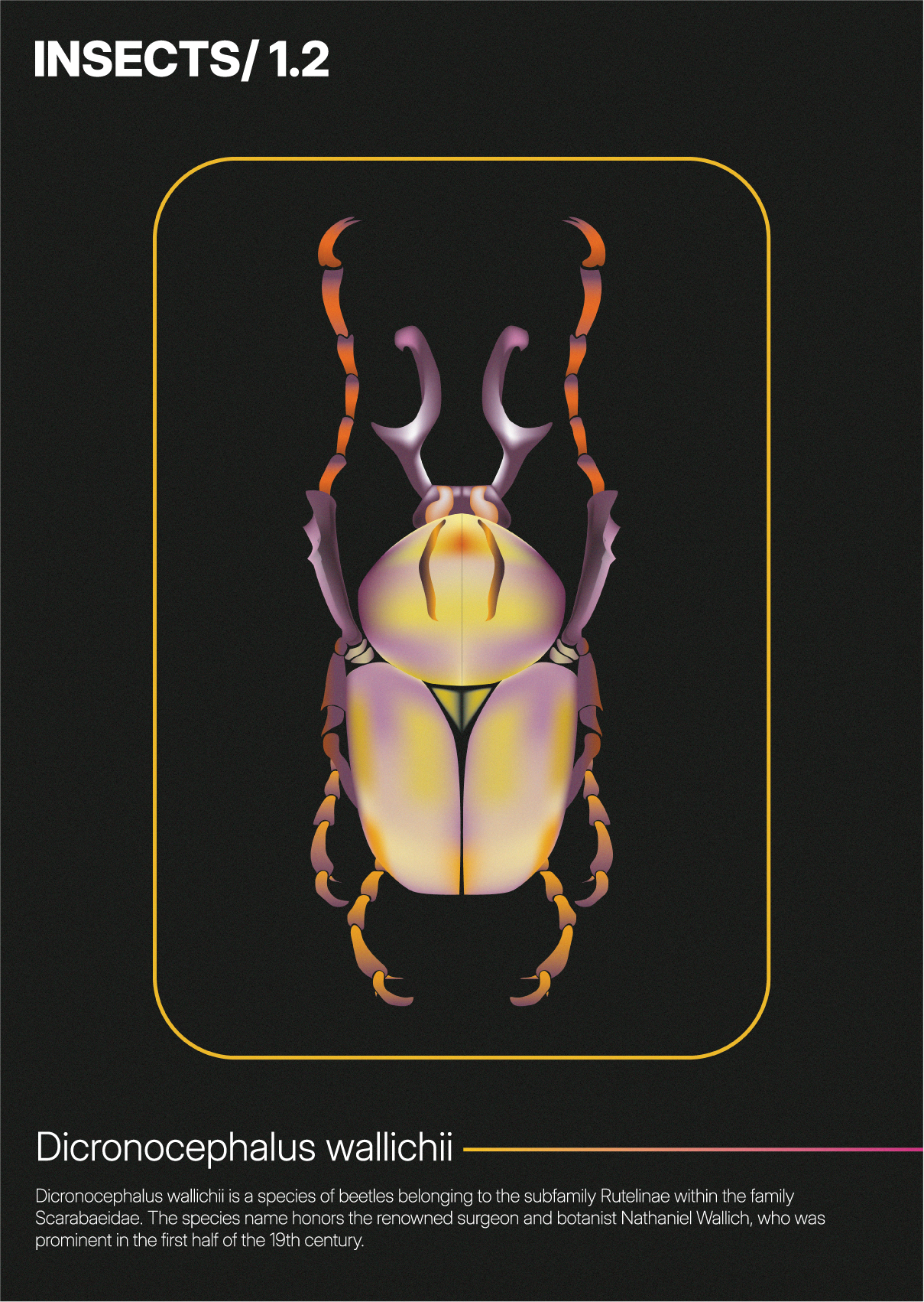 Постер DEPARTMENT "Insects 1.2", формат А2, рулонная бумага 180г, графическое изображение жука