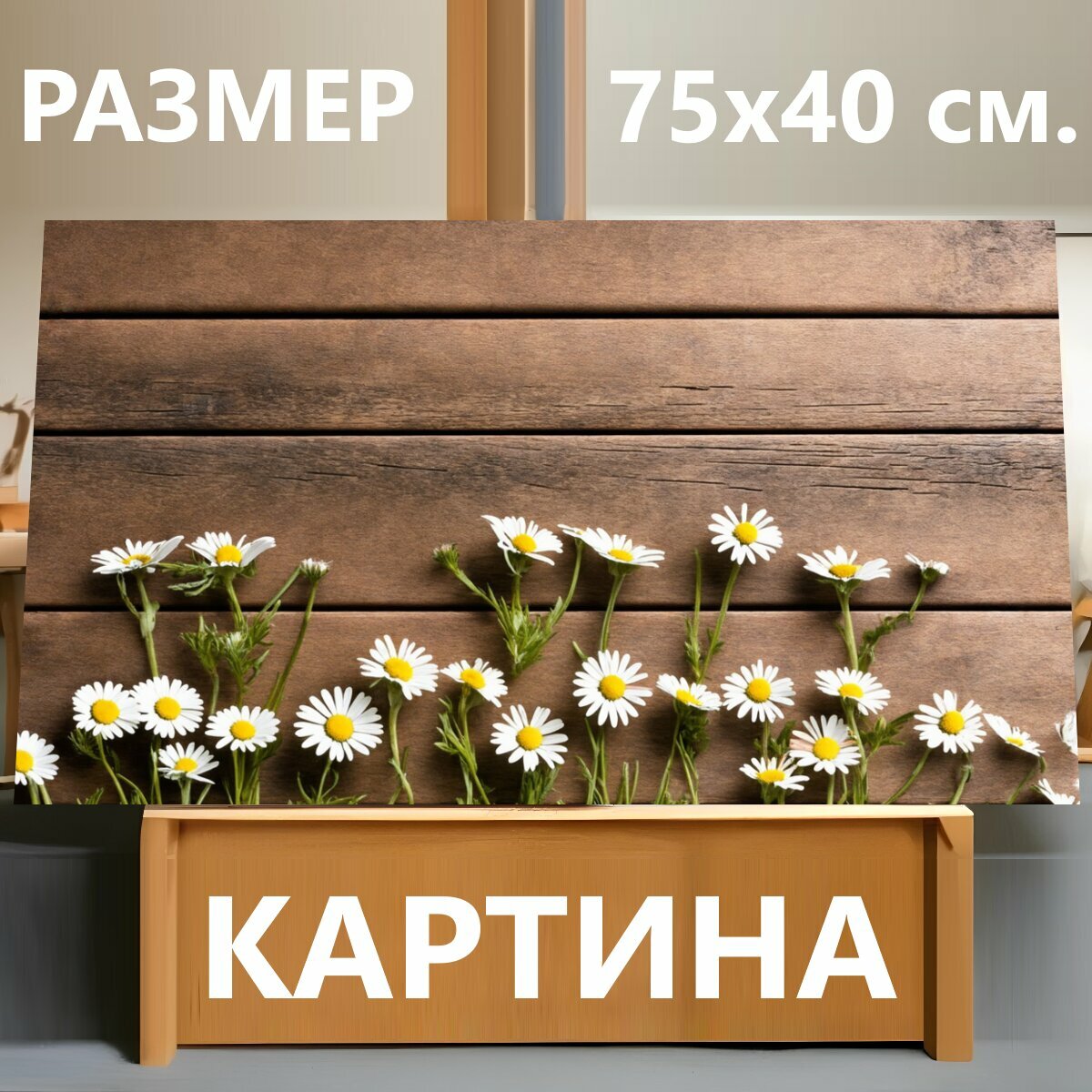 Картина на холсте "Симметрично расположенные ромашки на фоне старинного деревянного стола, их цветы соединили в символ весны и обновления." на подрамнике 75х40 см. для интерьера