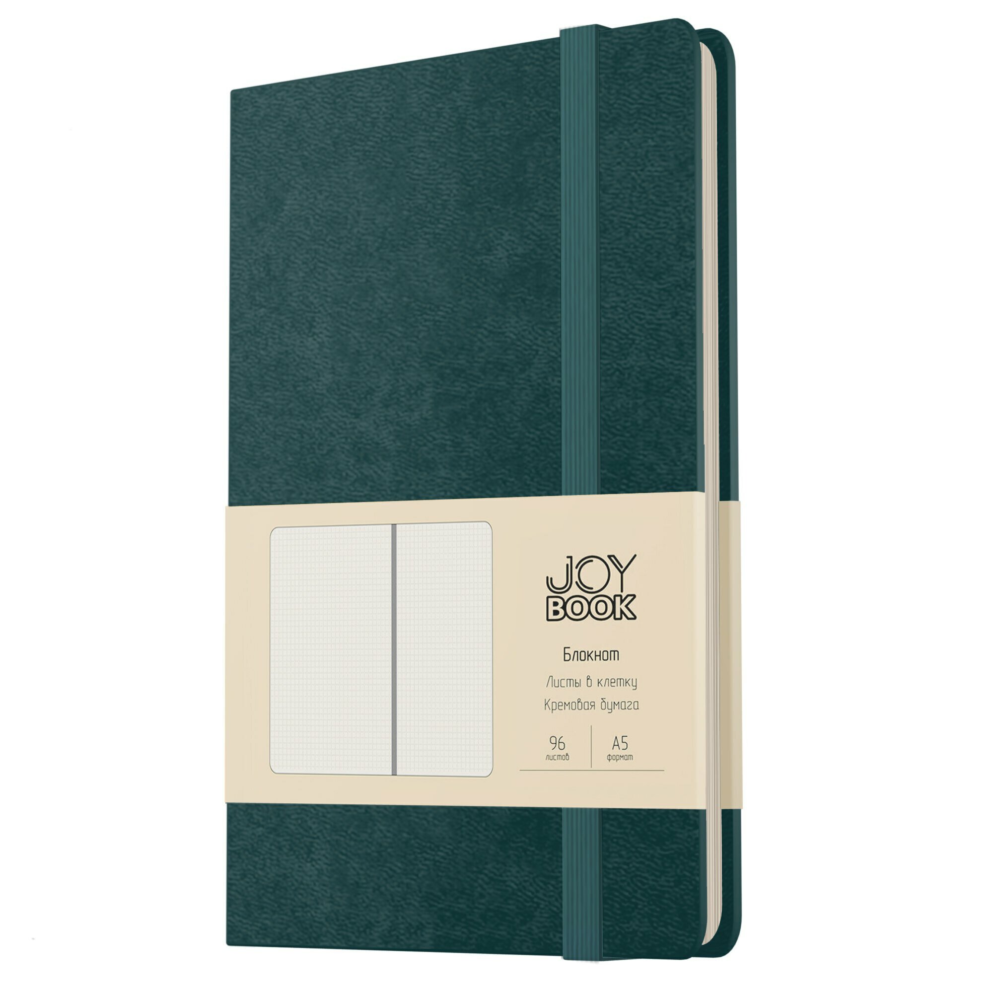 Книга для записей А5 96л кл. "Joy Book. Морской залив" иск. кожа, тонир. блок, скругл. углы, ляссе, резинка, карман на задн. форзаце