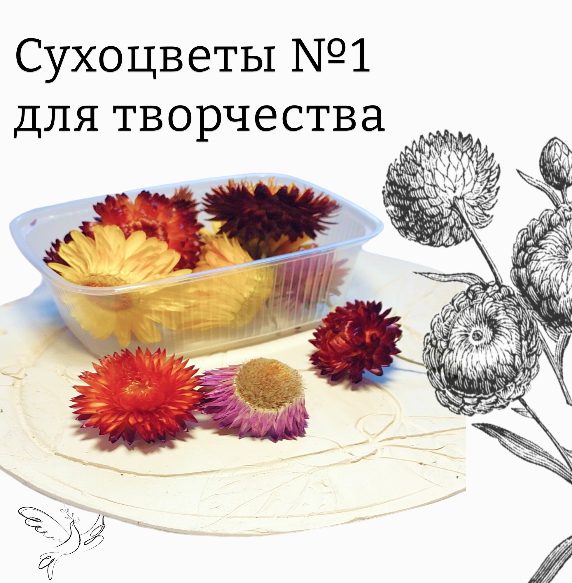 Сухоцветы "Бессмертник (гелихризум) ассорти" для творчества и эпоксидной смолы