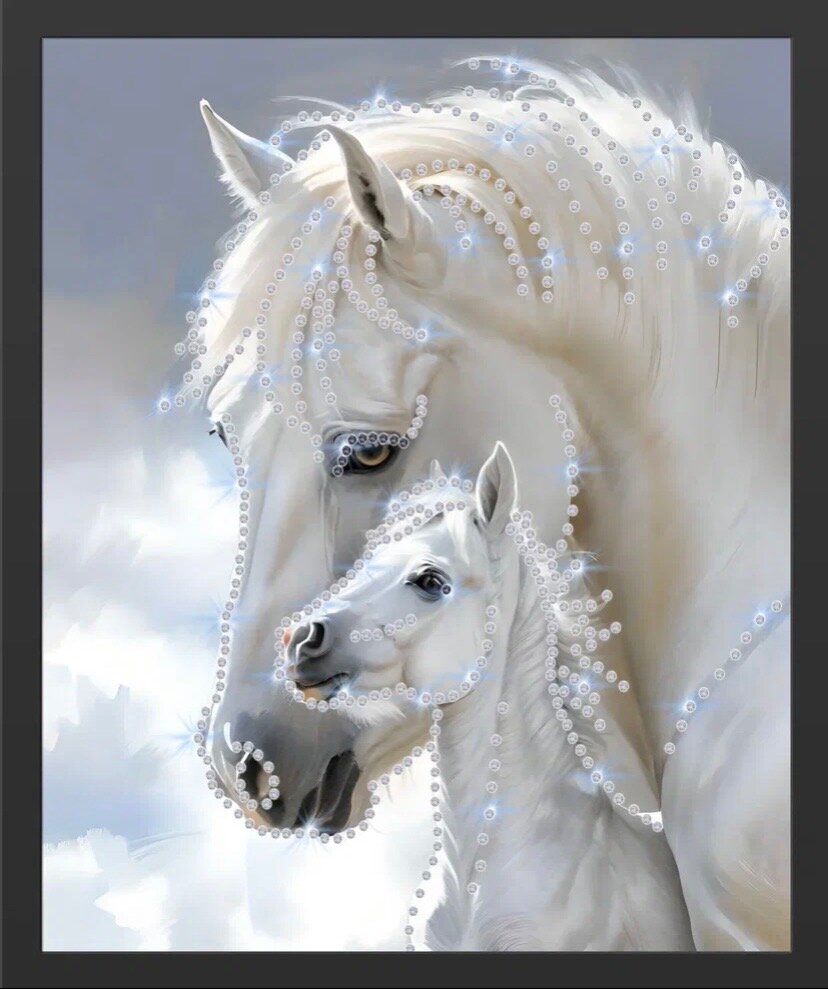 Картина «Белоснежная нежность» с кристаллами Swarovski, 40х50 см