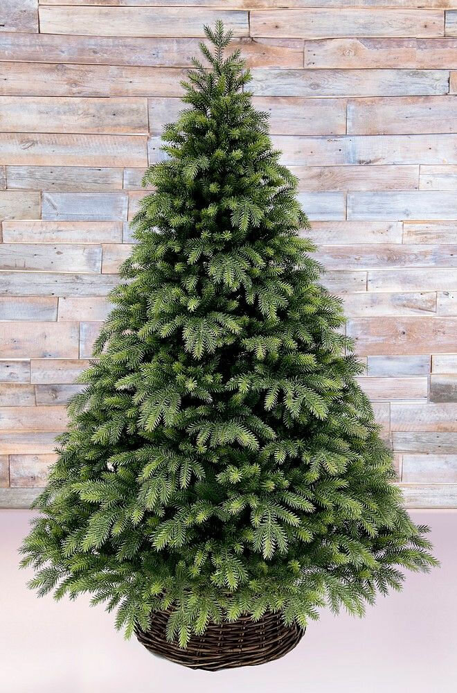 Искусственная елка карпатская, зелёная, хвоя - 100% РE, 215 см, Black Box 74603