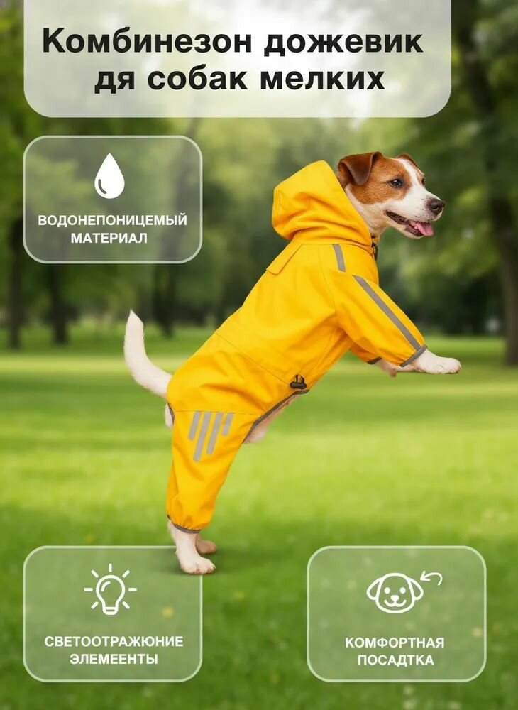 Комбинезон дождевик для собак мелких пород йорк чихуахуа той терьер шпиц желтый водоотталкивающий полиэстер на кнопках с поясом демисезон