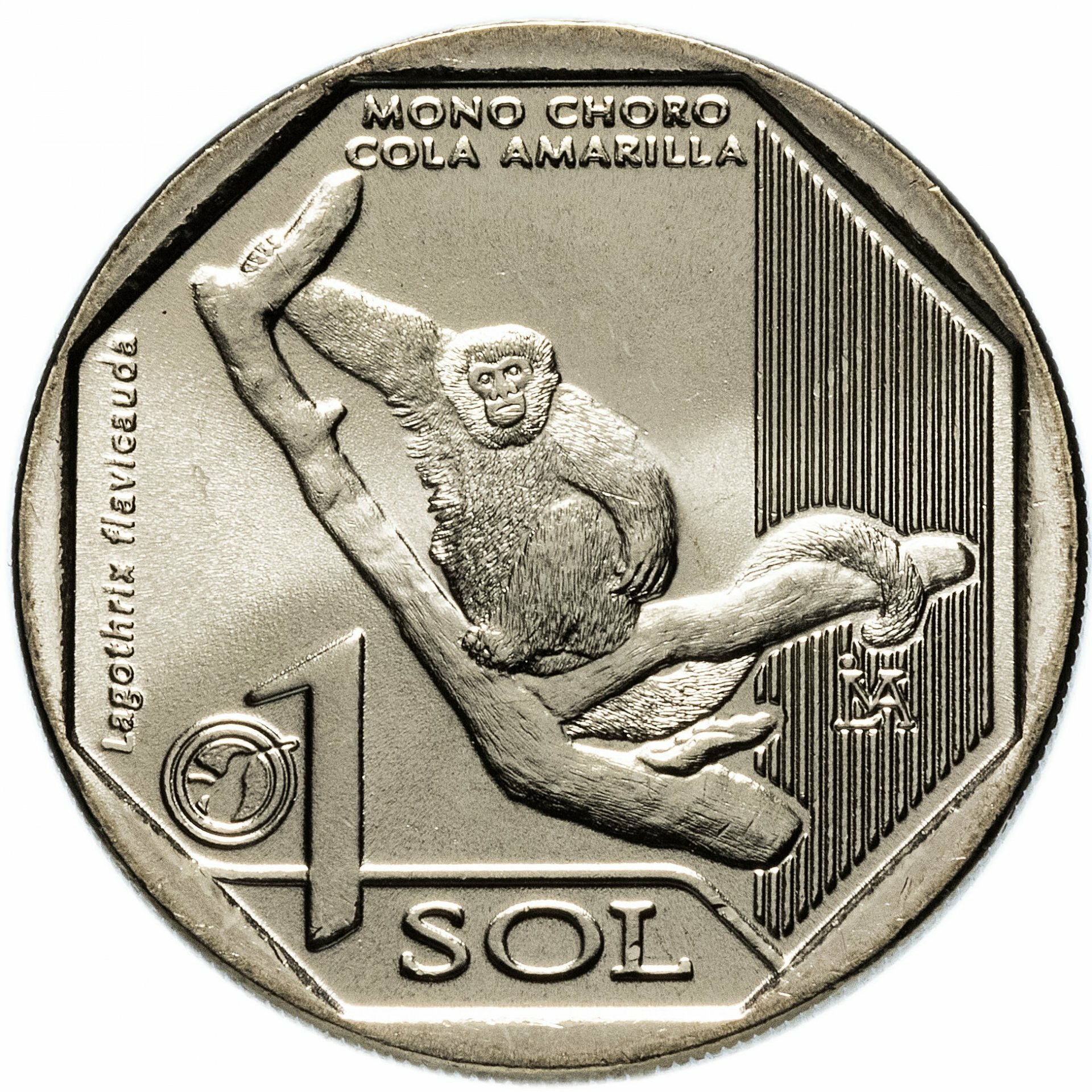 Перу 1 соль 2019 "Желтохвостая обезьяна Lagothrix flavicauda", МНЦ медь-никель-цинк, в сохранности UNC