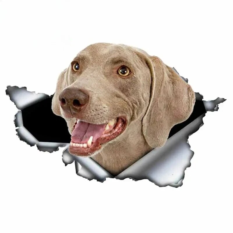 Серый Weimaraner, автомобильная наклейка, рваная металлическая наклейка, светоотражающие наклейки, водостойкая 3D-стиль автомобиля, наклейка для собаки, 13 см x 8,6 см, ПВХ KK