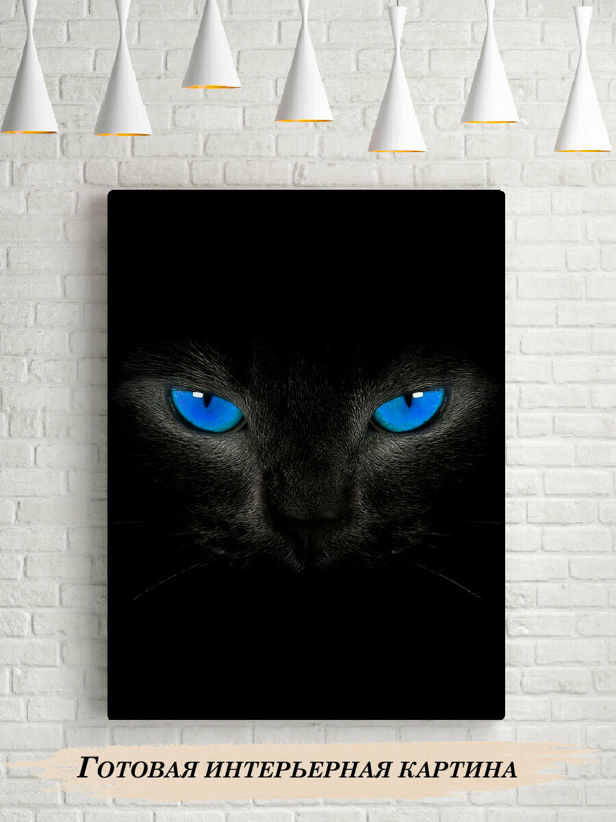 Картины для интерьера 40х60 Кот черный голубые глаза