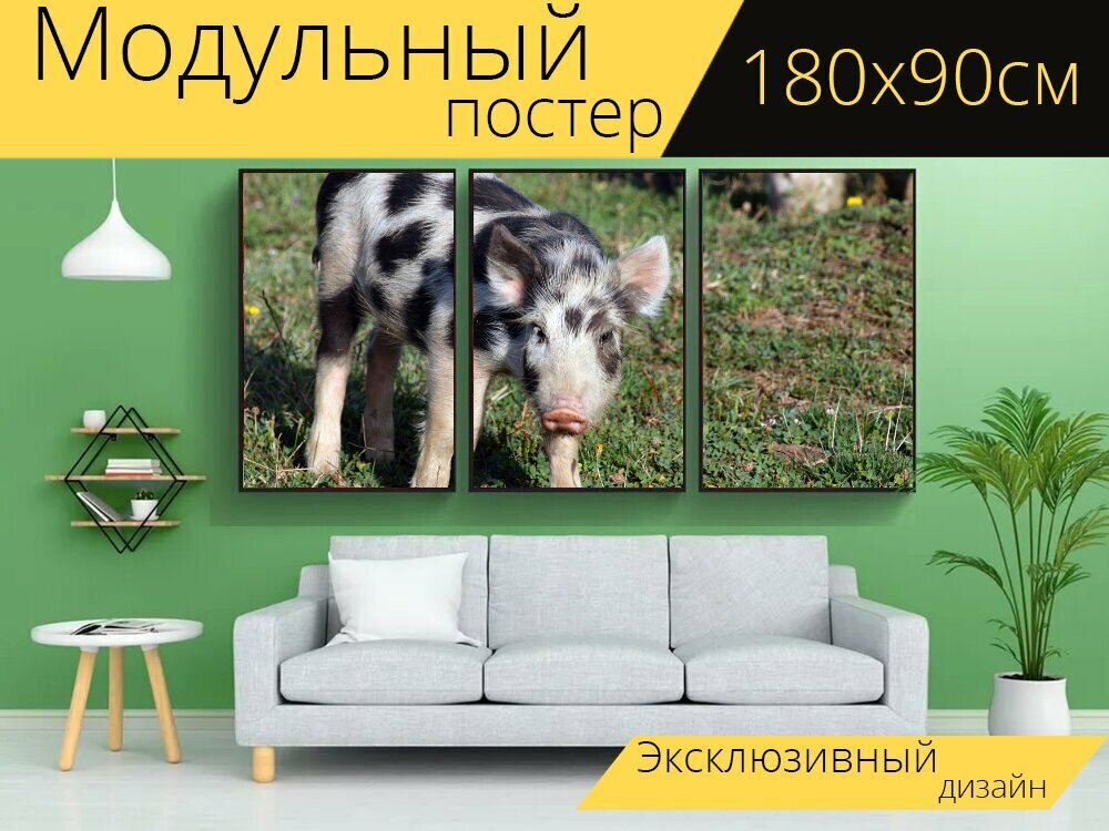 Модульный постер "Поросенок, свинья, молодой" 180 x 90 см. для интерьера
