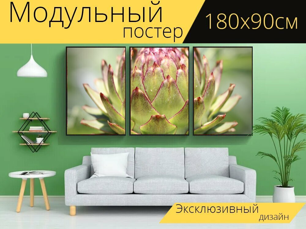 Модульный постер "Артишок, фрукты, овощи" 180 x 90 см. для интерьера