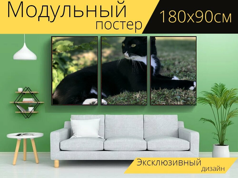 Модульный постер "Кот, чернить, черный кот" 180 x 90 см. для интерьера