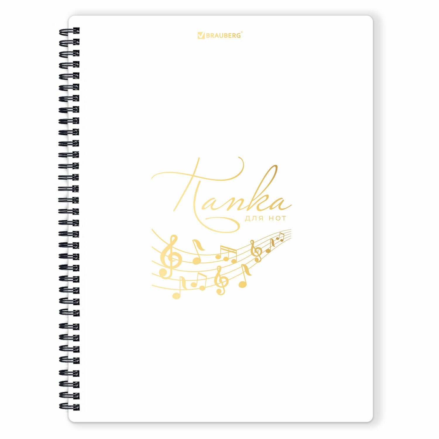 Папка-тетрадь для нот А4, 20 вкладышей на 40 страниц, на гребне, пластик, белая, BRAUBERG, 404644