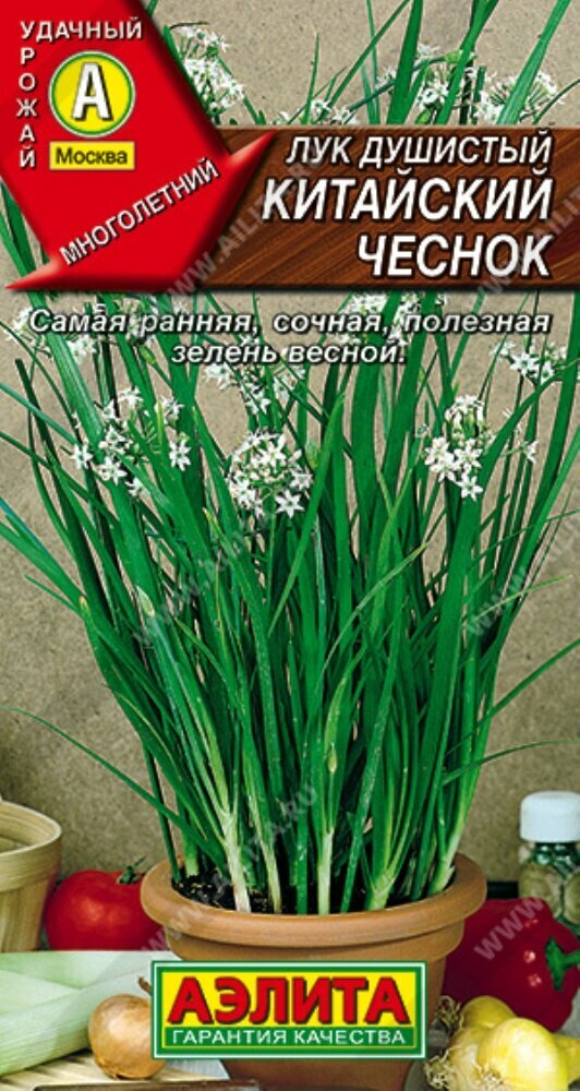 Семена Лук Душистый Китайский чеснок 0,3гр.(Аэлита)