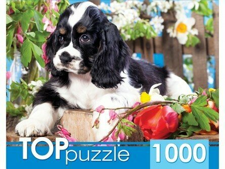 *Puz 1000д. Toppuzzle Щенок спаниеля в саду (ГИТП1000-2143)
