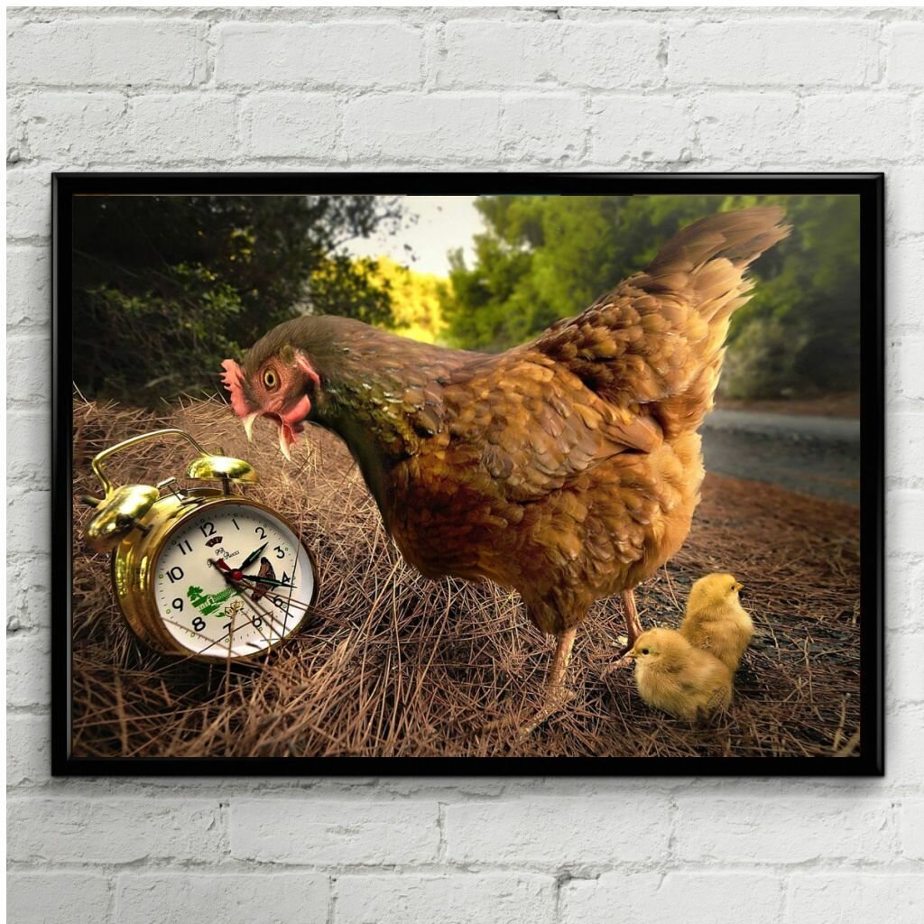 Плакат "Курица с будильник" Cool Eshe из коллекции "Природа", плакат А3